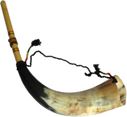 Estudi sobre els recursos naturals de Bolívia: INTRODUCCIÓ A LA ...