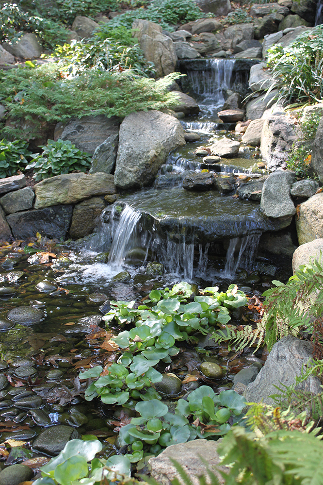 Why I Design Gardens