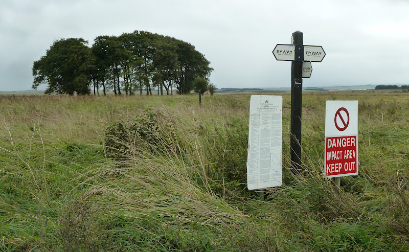 Devizes Days in Words and Pictures 2015: Attempting to Nordic Walk ...