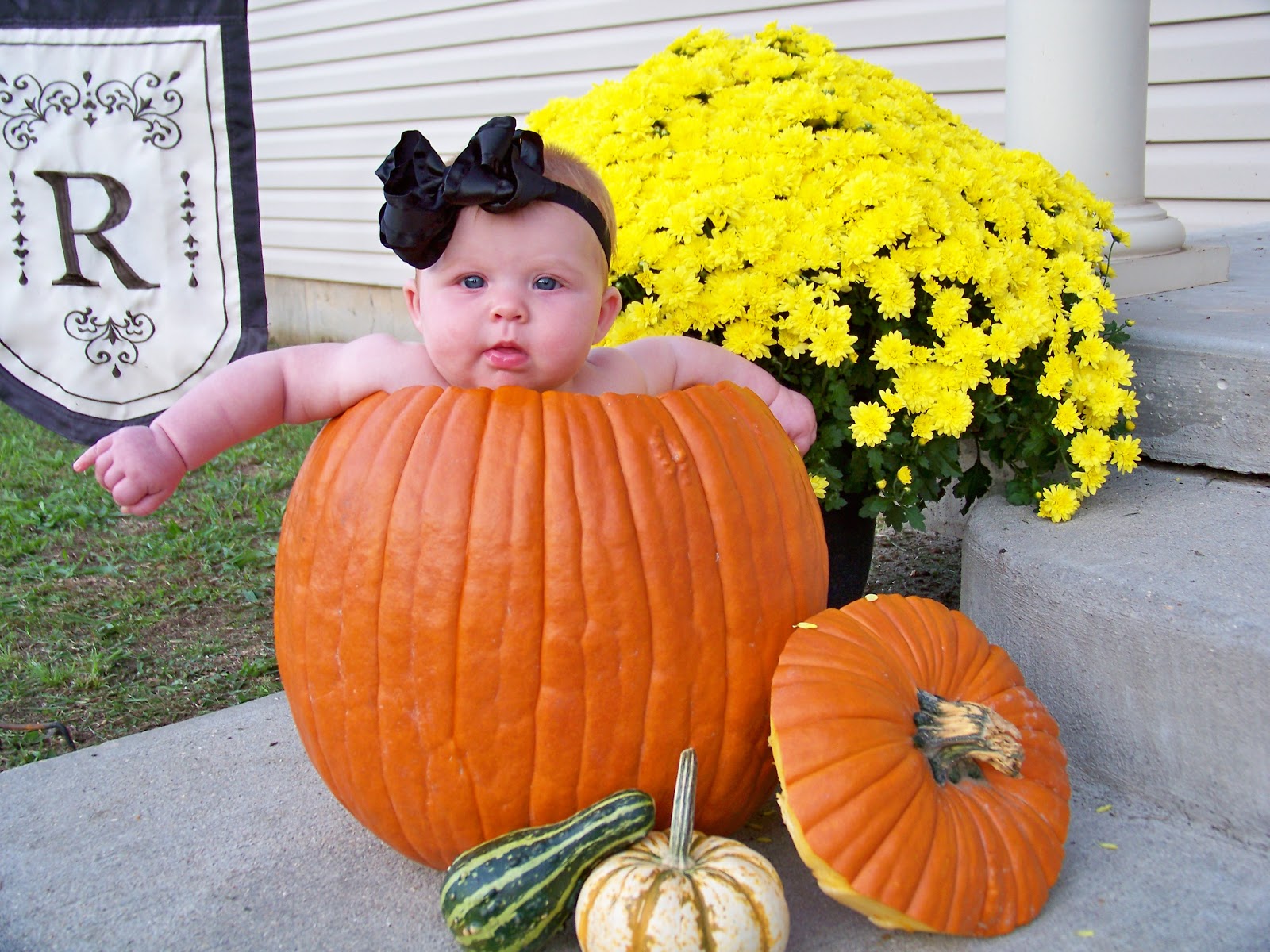 A Wife and Her Coach: Our Cute Little Pumpkin