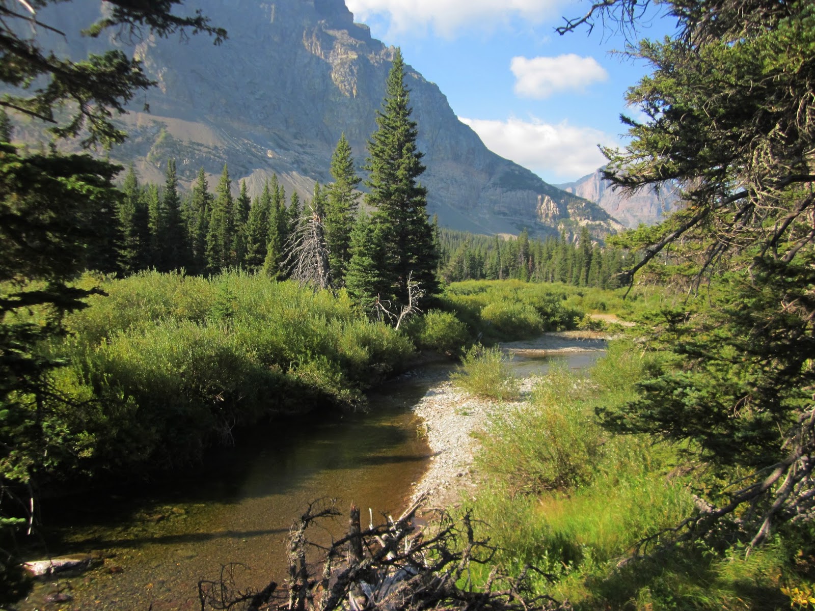 Smoky Scout's Hiking Adventures: Glacier National Park: Triple Divide Pass