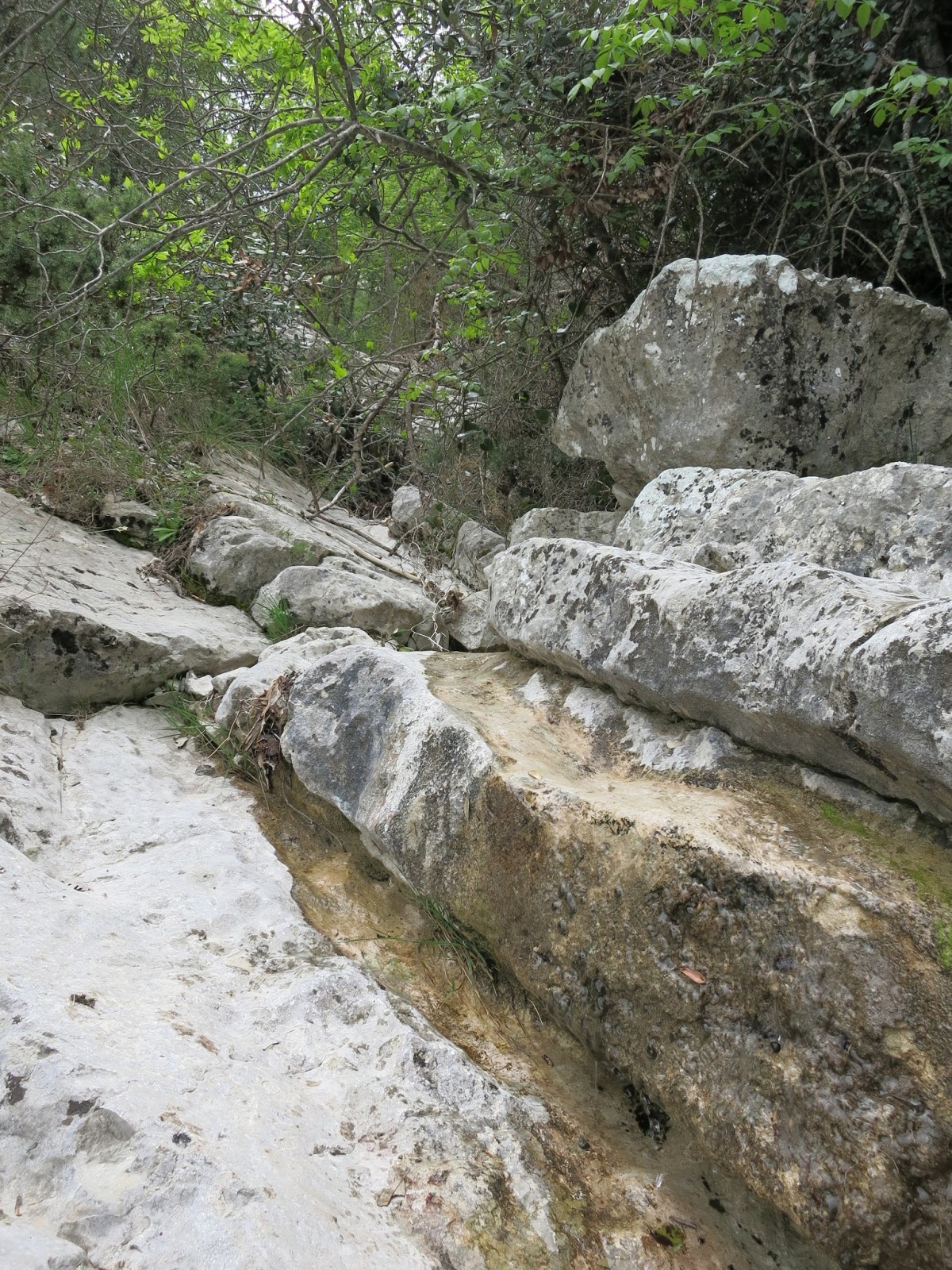 Itineris Mei: Monte Pietralata - Ascesa alla Testa del Duce