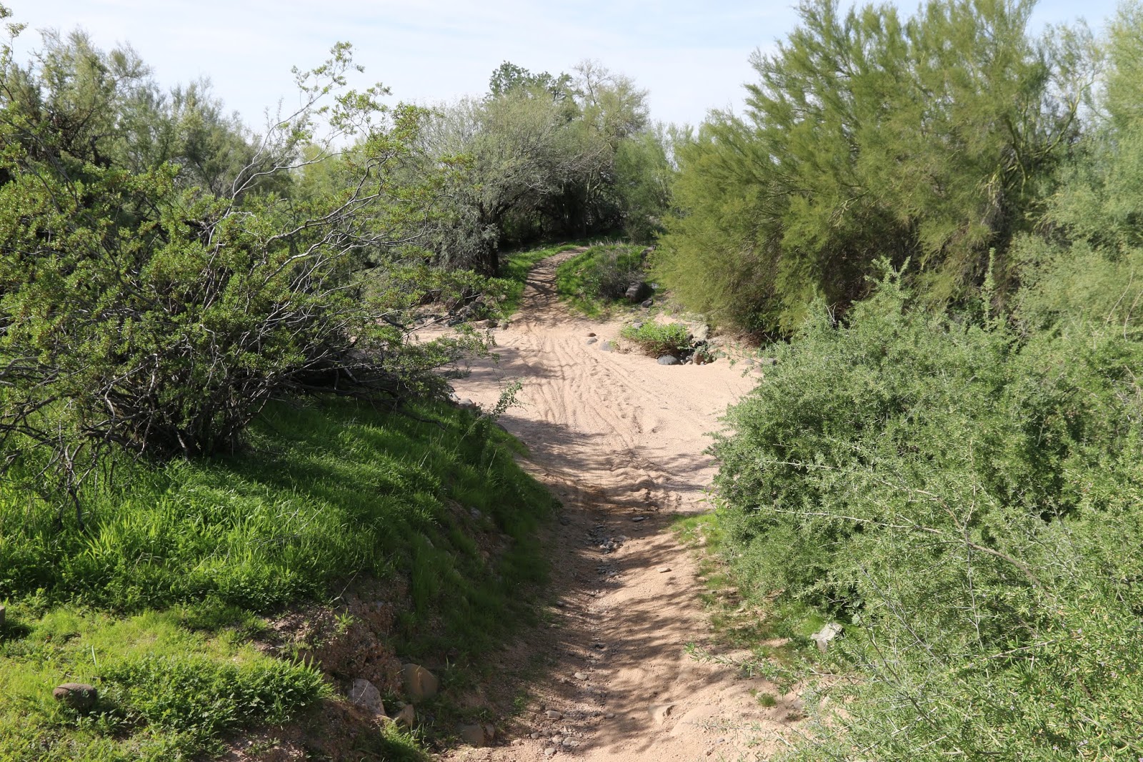 gjhikes.com: Badger Brawl