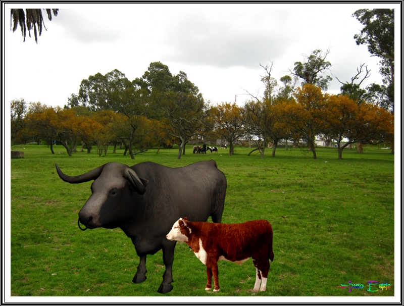 El blog de las fábulas: El novillo y el toro viejo - Jose Joaquín ...