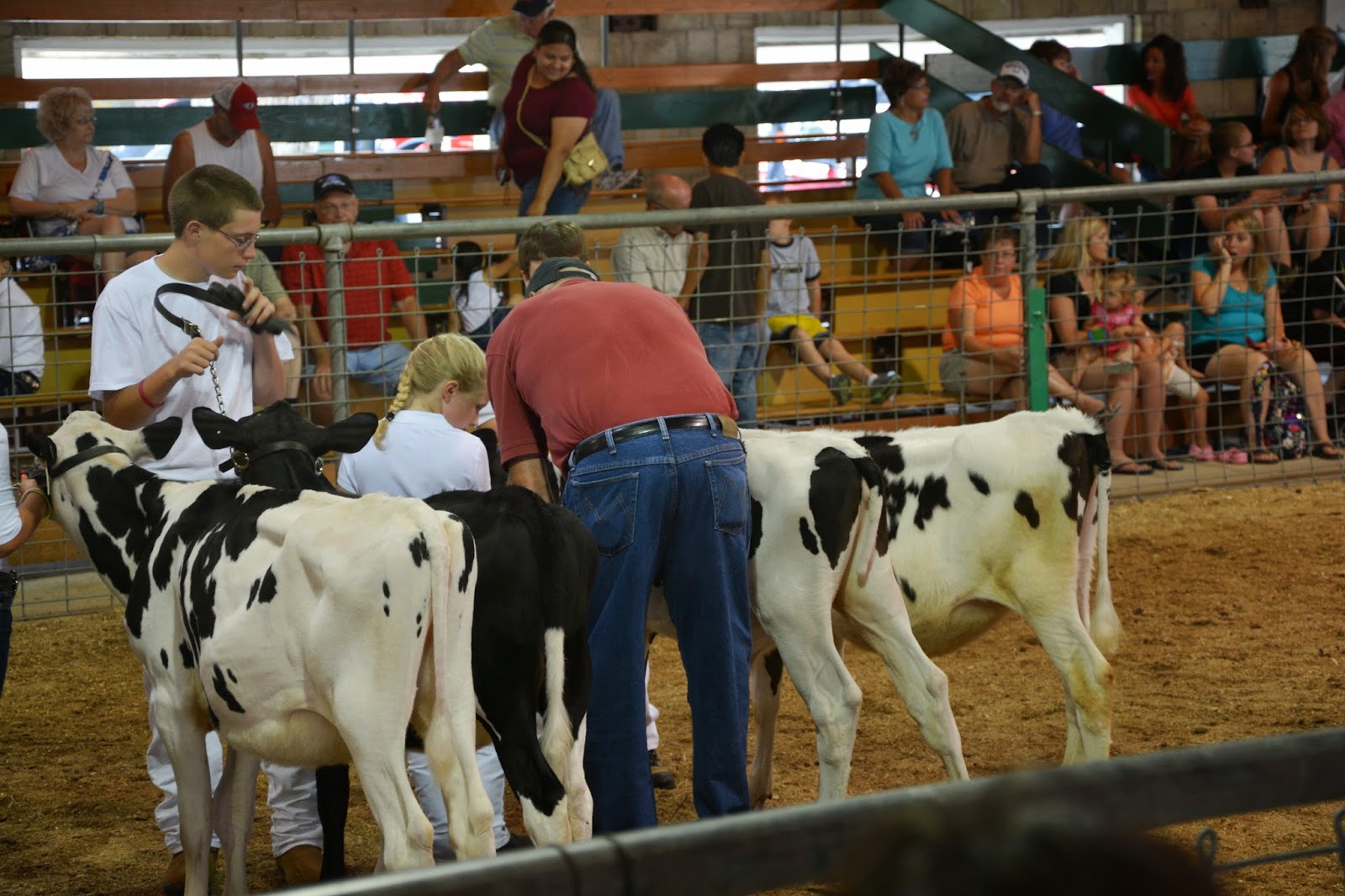 This Farm Family's Life: A Week of Fun at the County Fair...