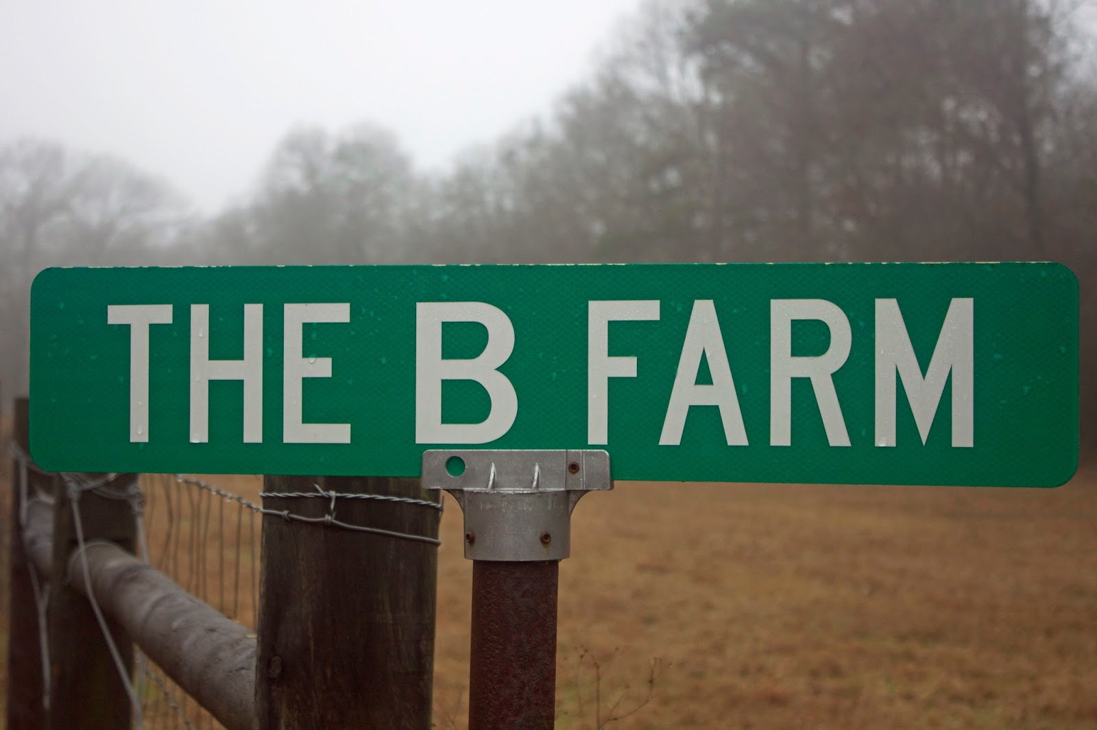 The B Farm : The B Farm is Five