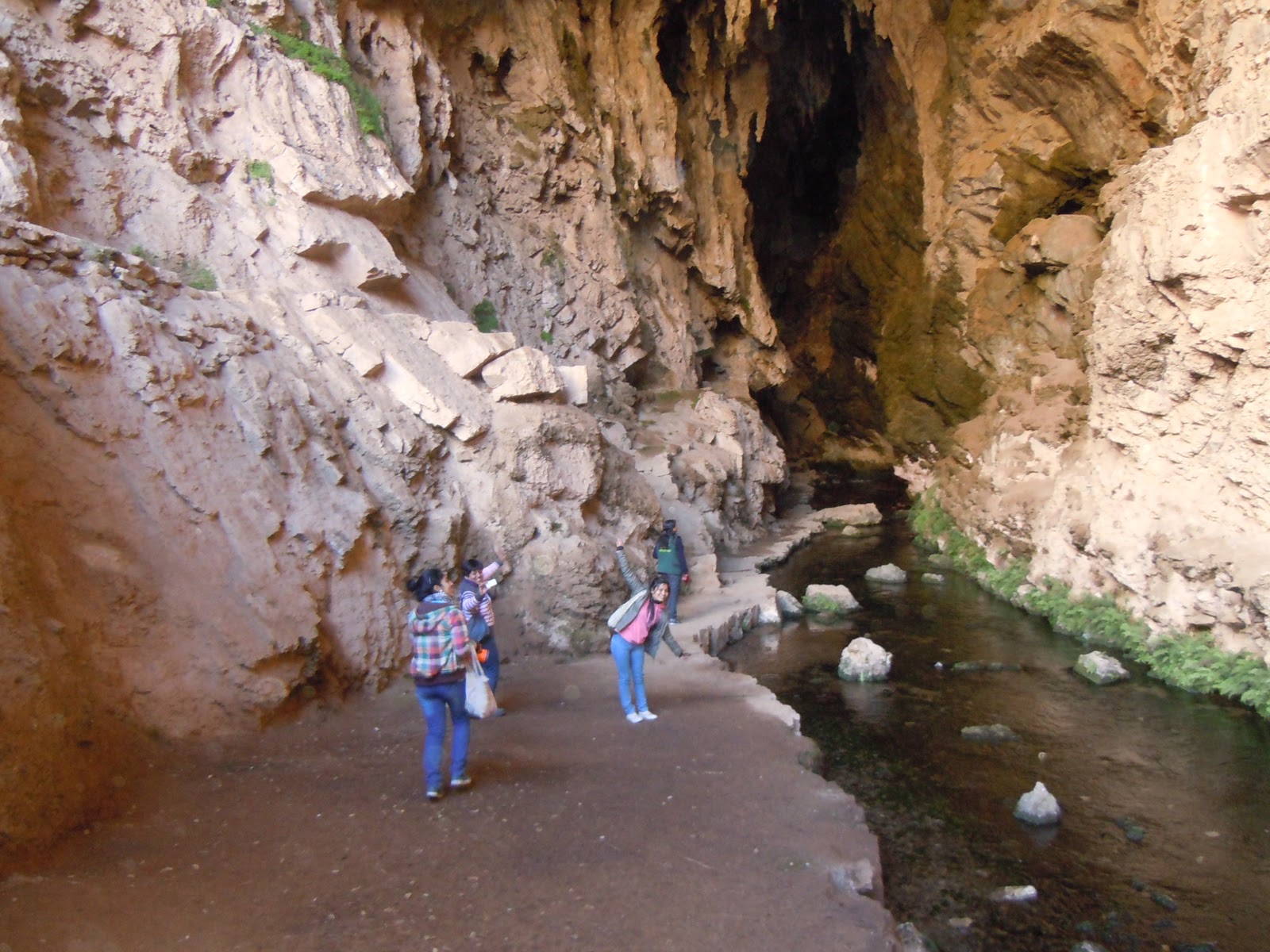 TARMA: The Culture of Tarma