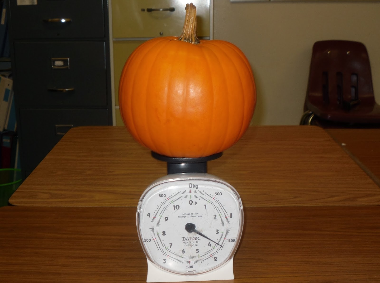 Teaching Math by Hart: Pumpkin Math - Day 1