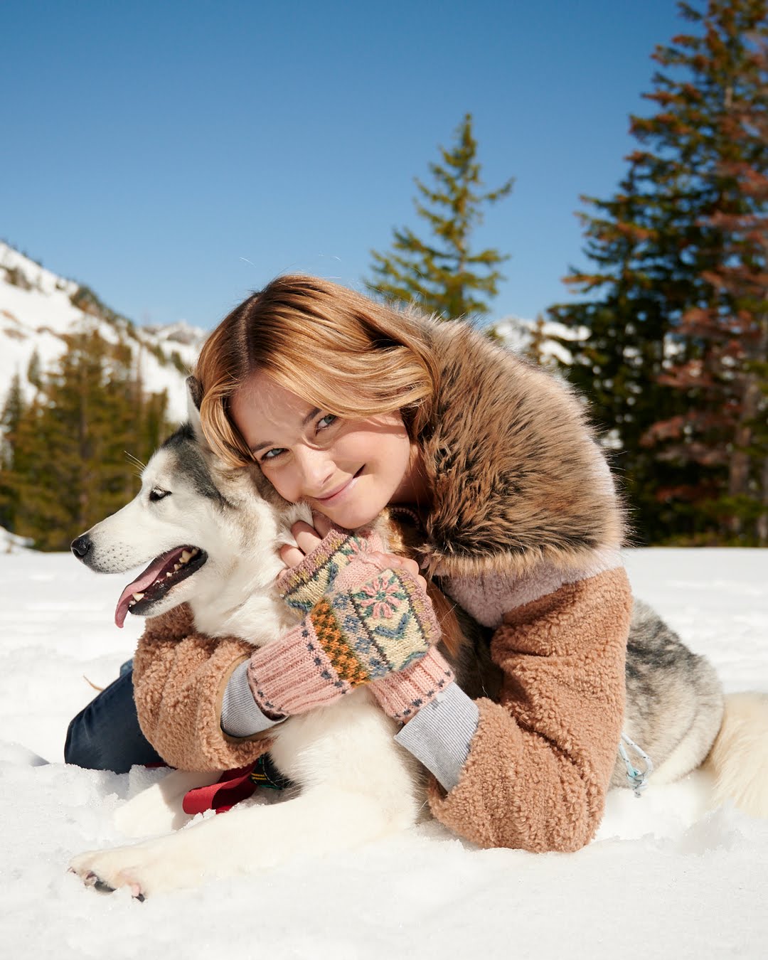 Dogs of Sundance: Arctic Rescue Huskies - Sundance Blog