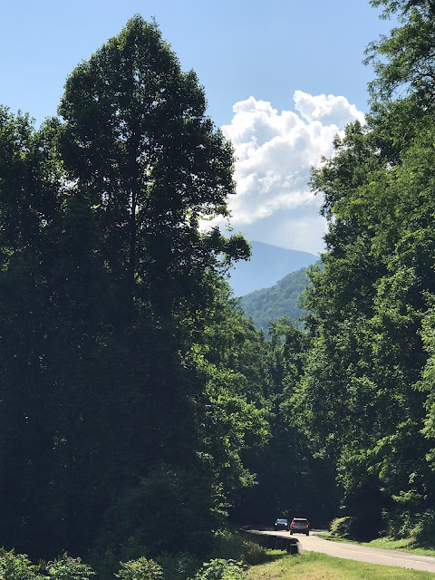 Clover House: Our Road Trip to The Smoky Mountains
