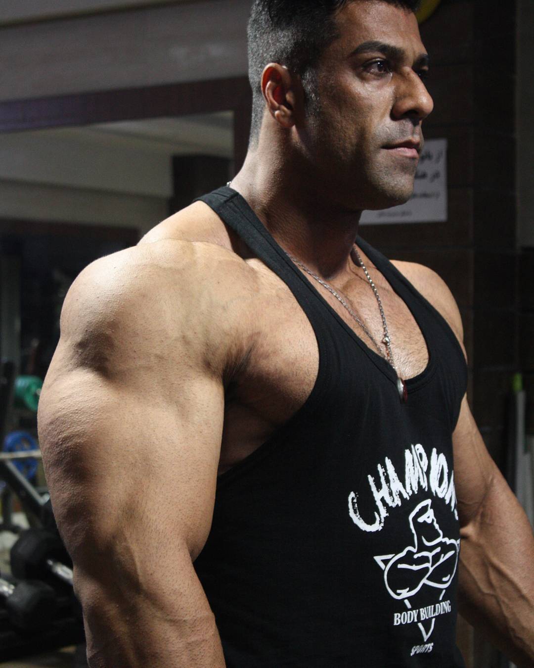 Word wide Bodybuilder Images| Best World WIde Bodybuilders