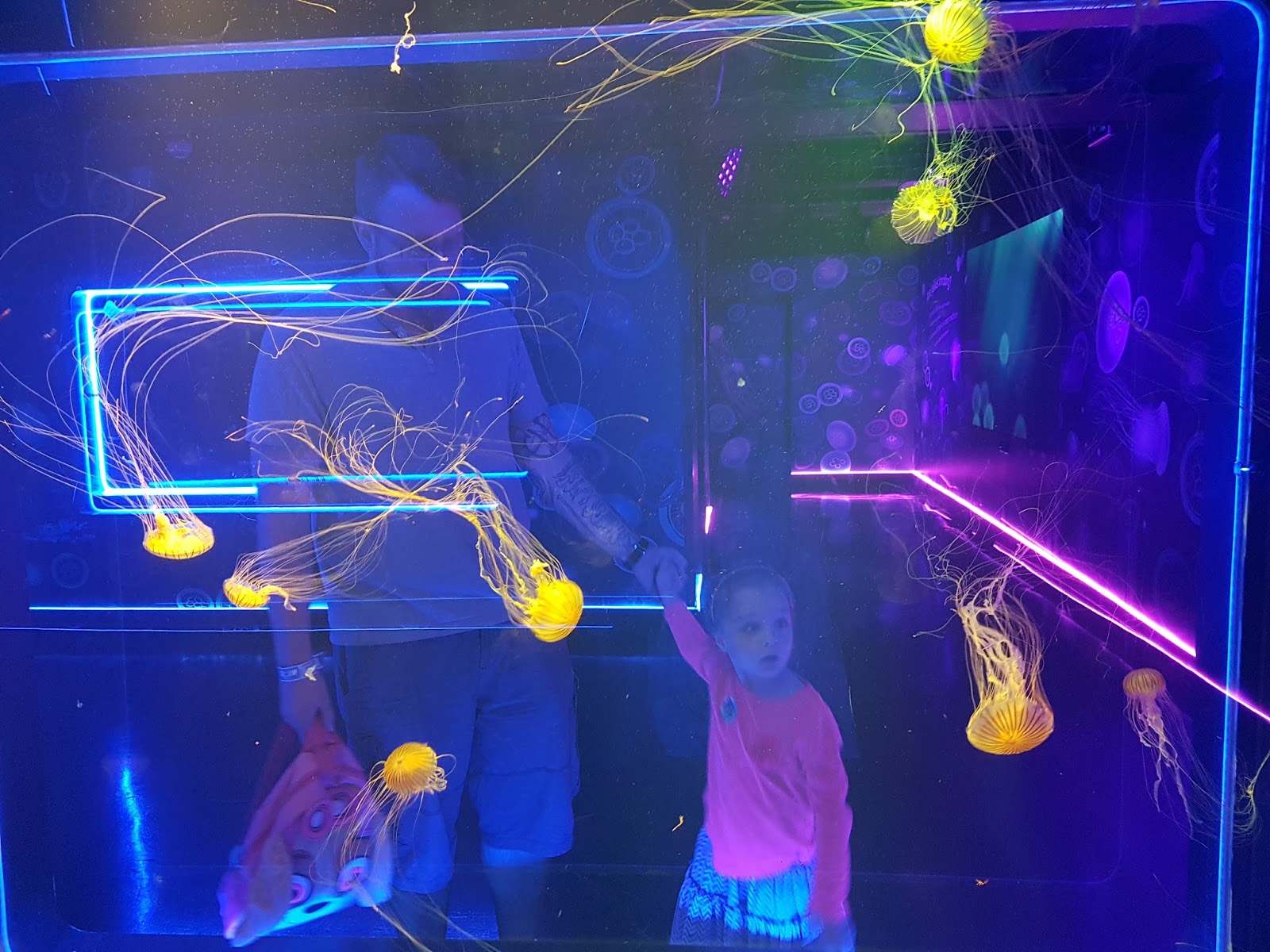 What is the new jellyfish exhibition at London Aquarium like?