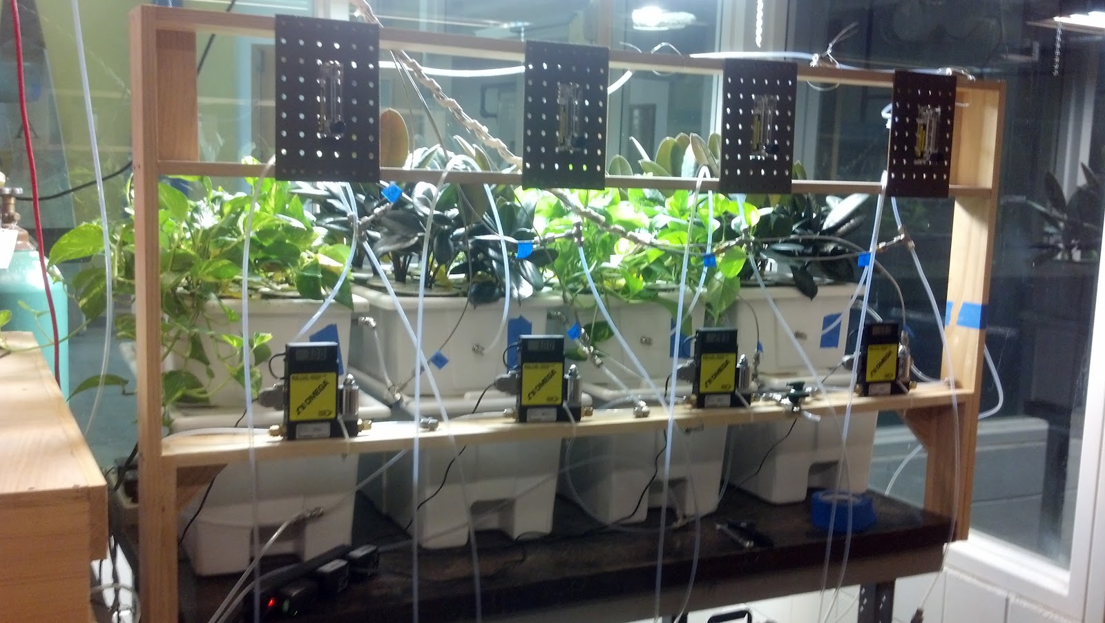 Group 013-05 DIY Biowall Design