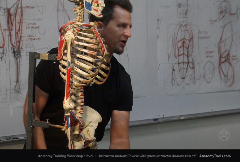 AnatomyTools.com: 2015 Photo Album - Human Anatomy Workshop Lvl-1 (April)