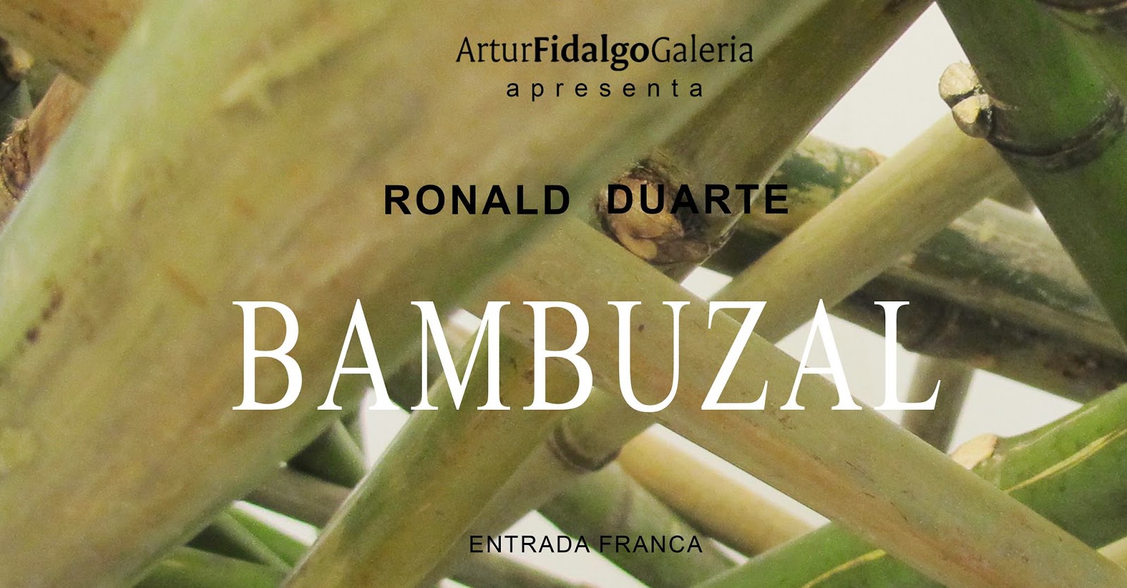 BetaniaCaneca.: RONALD DUARTE - BAMBUZAL :: 17/04 :: ARTUR FIDALGO ...