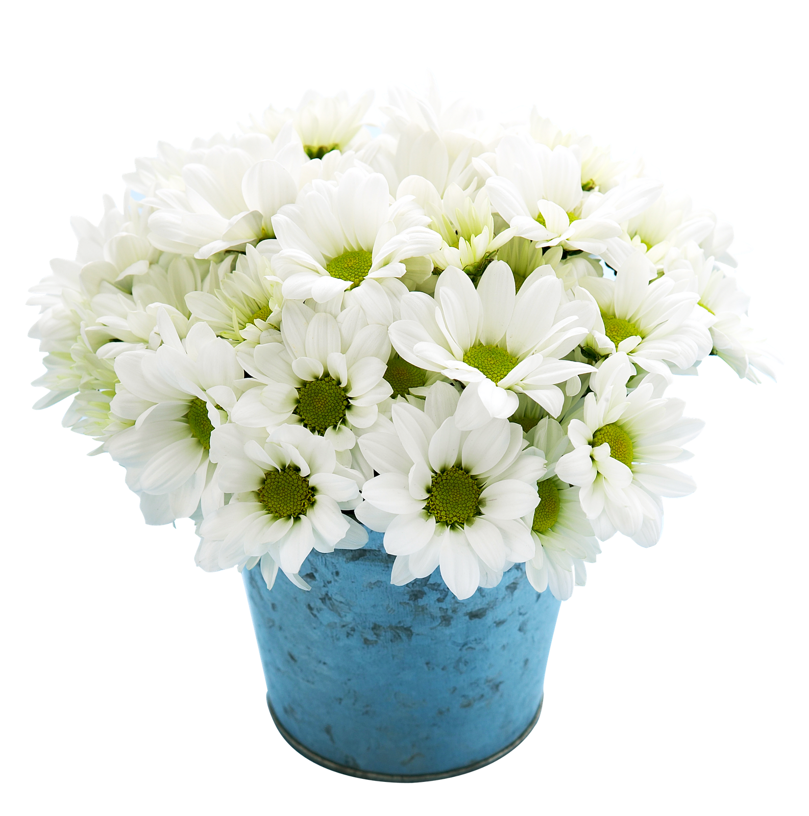 DICAS : VASO DE FLOR