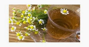 Chamomile tea: Health Benefits and from Where to Buy Chamomile Tea