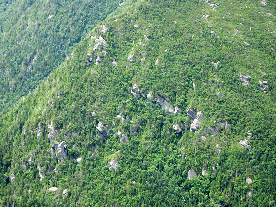 Hiking in the White Mountains: The Abandoned Adams Slide Trail