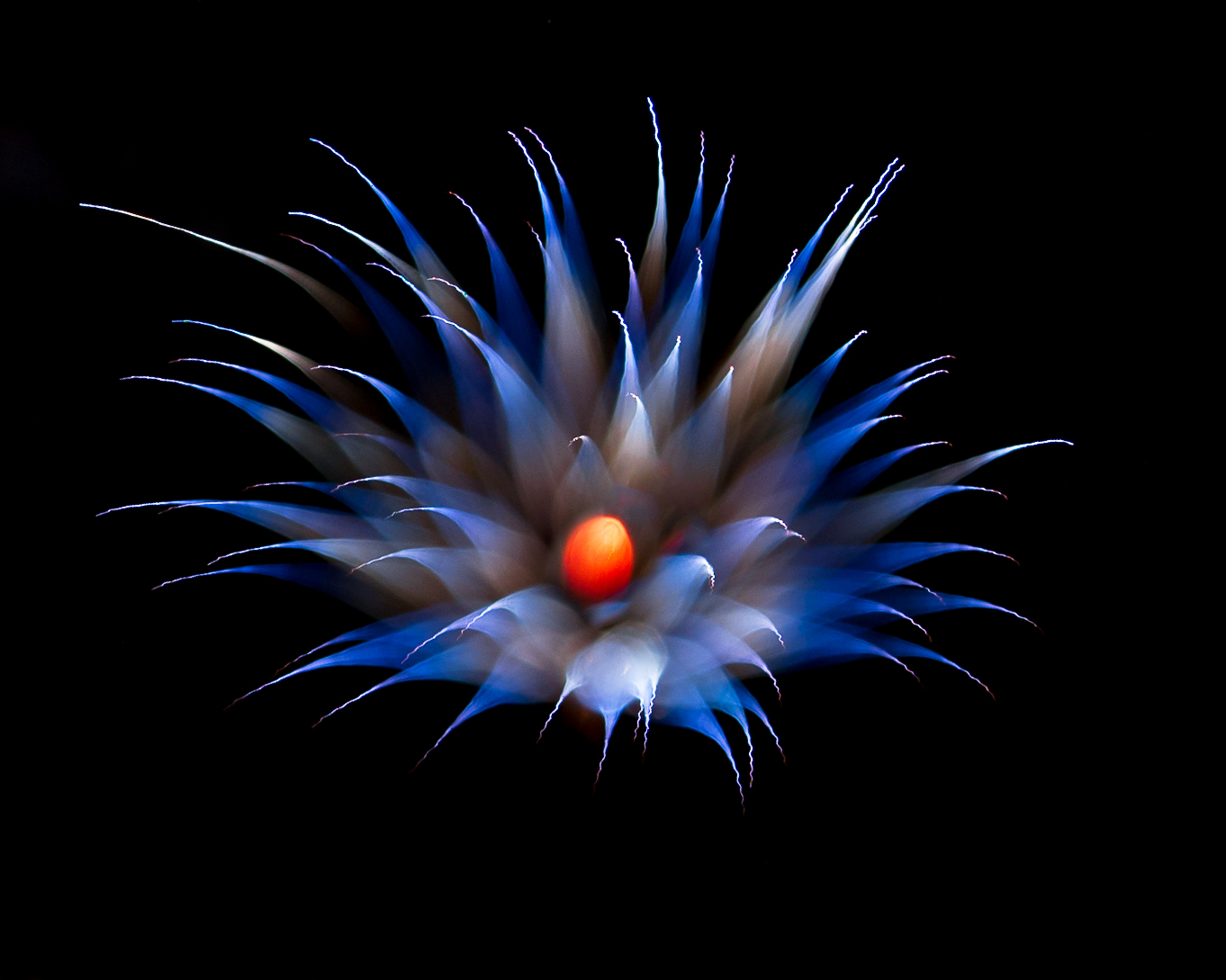 Suzanne Mathia Photography: AMAZING FIREWORKS IMAGES - TUTORIAL