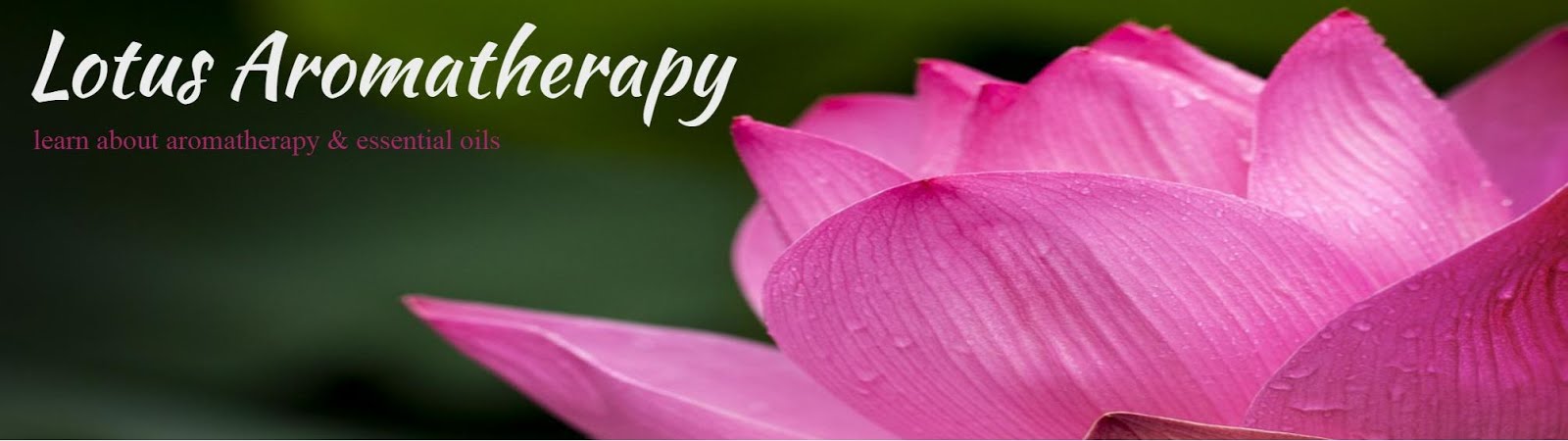 Lotus Aromatherapy: What are essential oils?