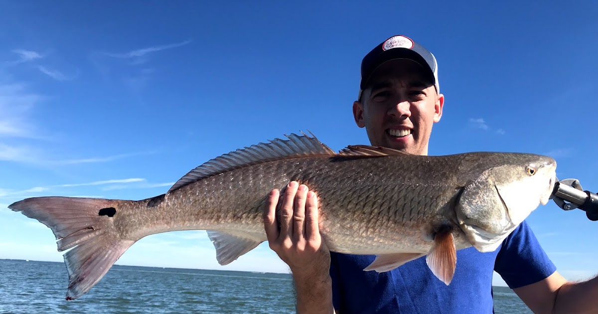 Sanibel Fishing, Sanibel Island, FL: Christmas in Sanibel and Captiva