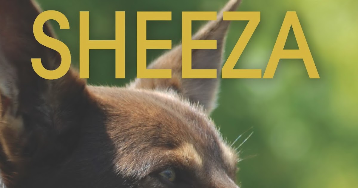 Buzz Words: Sheeza