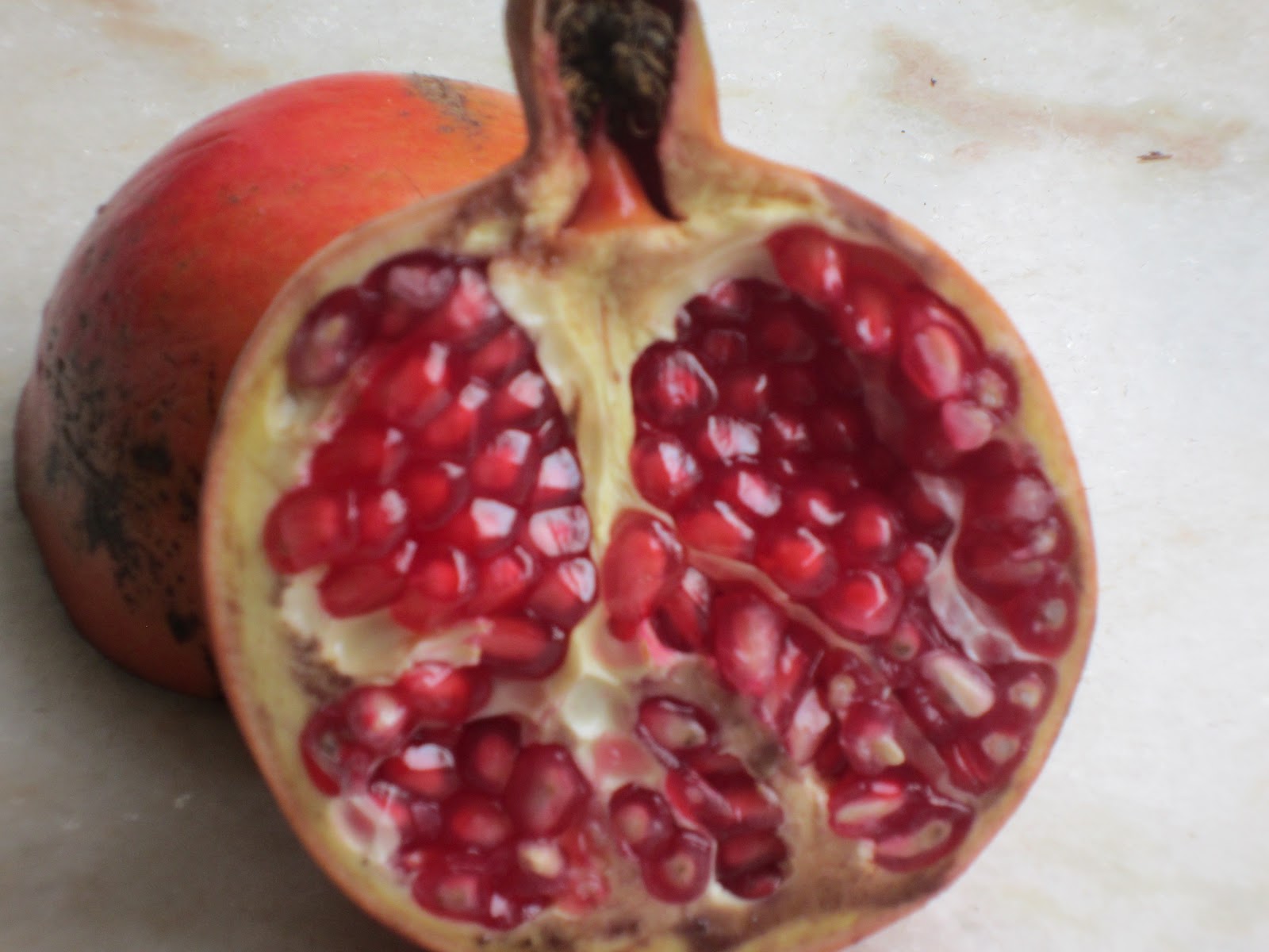 ഉറുമാമ്പഴം ഔഷധ കലവറ | മഞ്ചാടി