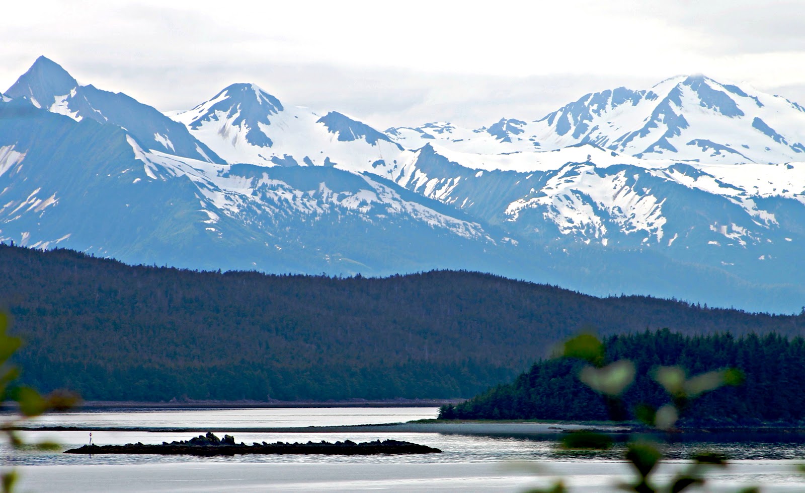 Sandra's Alaska Photography: Mid-July 2012: An Afternoon "Out the Road ...
