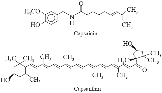 Capsaicin-Synonyms Axsain; Mioton; Zostrix