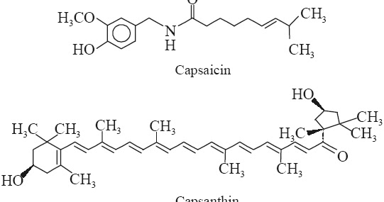 Capsaicin-Synonyms Axsain; Mioton; Zostrix