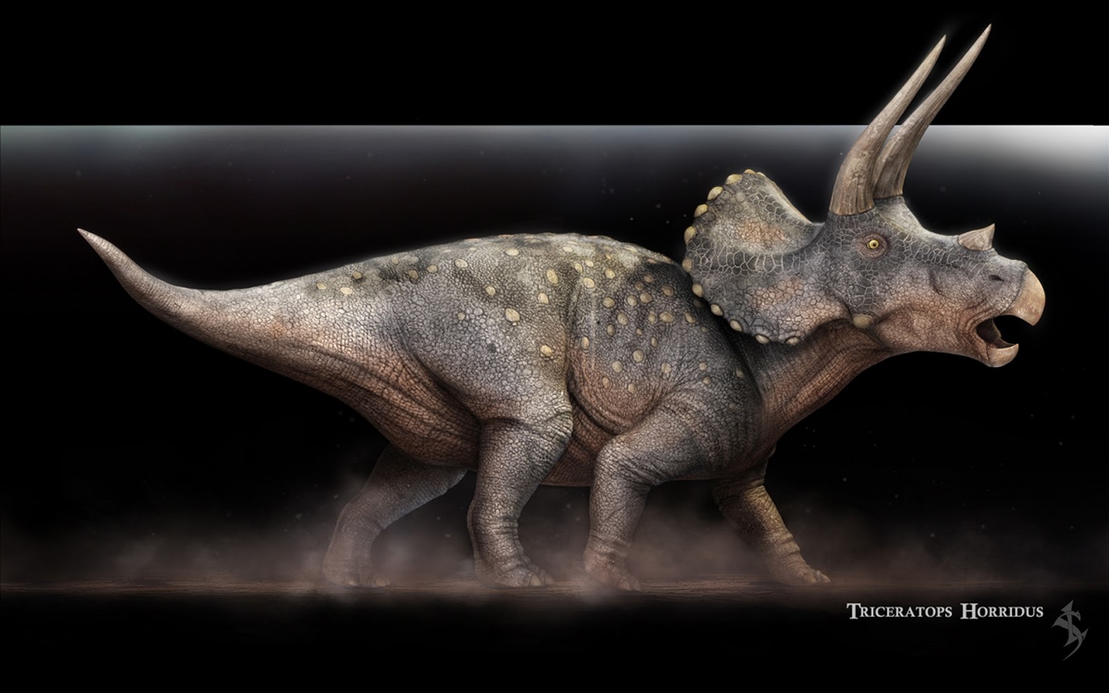 duelo animal: t-rex vs triceratops