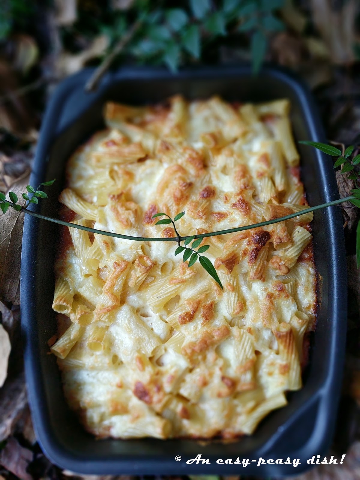 FETA AND LIME PASTA GRATIN - Easy-peasy dish...