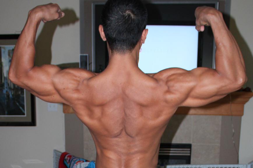 Small Rear Delt Question : r/Fitness