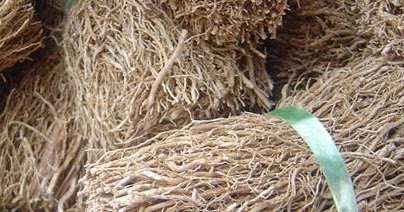 Radiant Health with Essential Oils!: 31 Oils in 31 Days Series - Day 25 ...