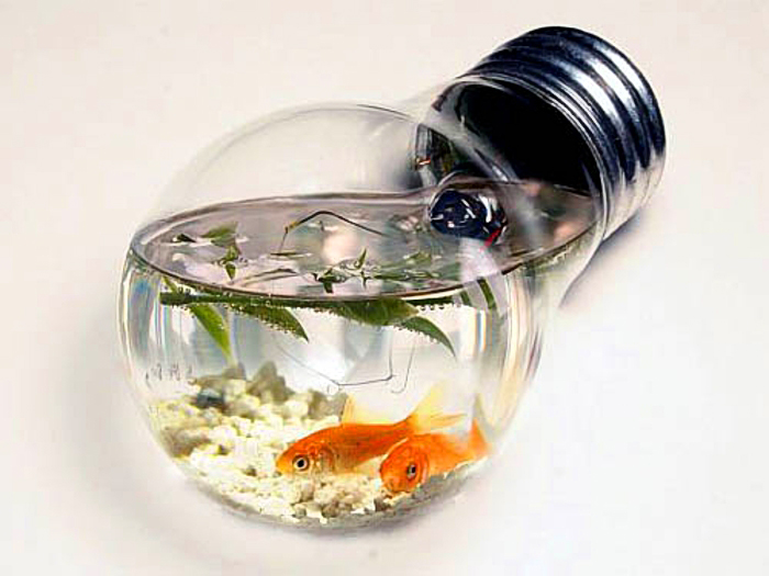 Simply Creative: Creative Fish Bowls