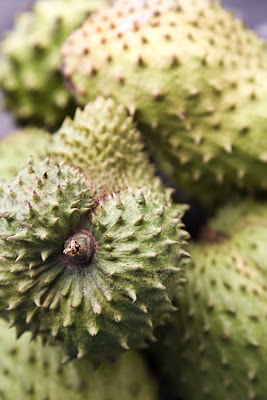 Graviola: Graviola Dosage