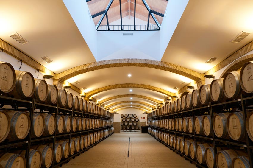 cuarenta grados: BARBAZUL