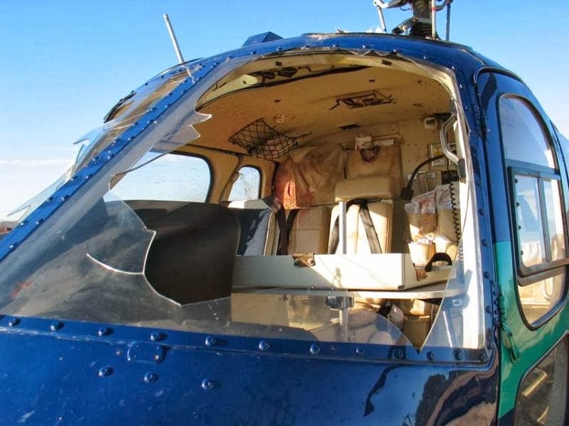 HelicopterEMS.com: BASH, BAM, BOOM: The Bird Threat