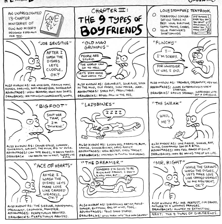 different types of boyfriends essay