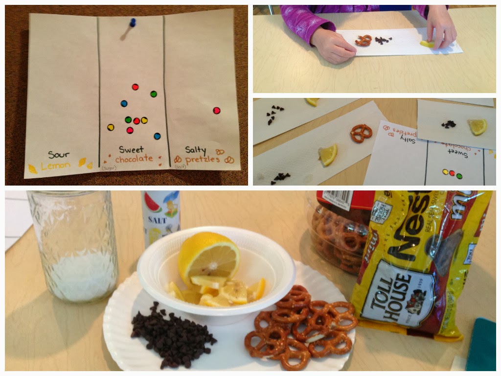 Keep Calm and Teach On: Our Five Senses! (B, Circle)