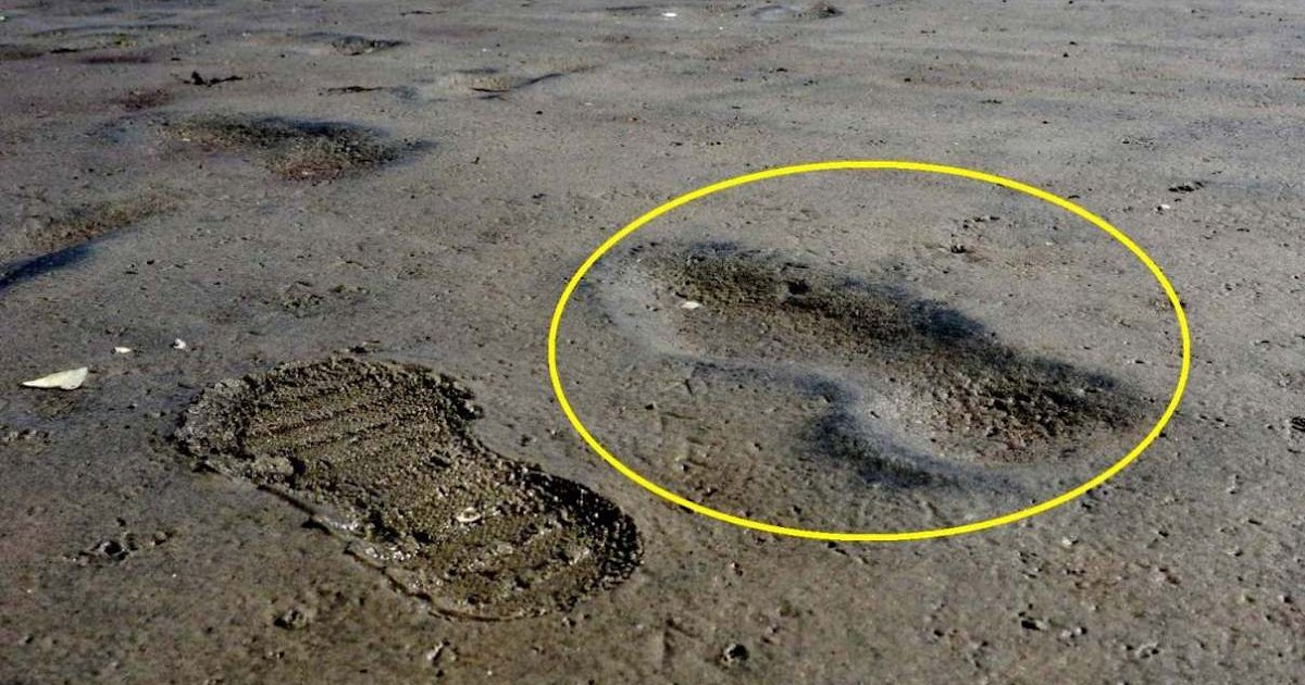 Oldest Human Footprints In North America Found On Canadian Coast ...