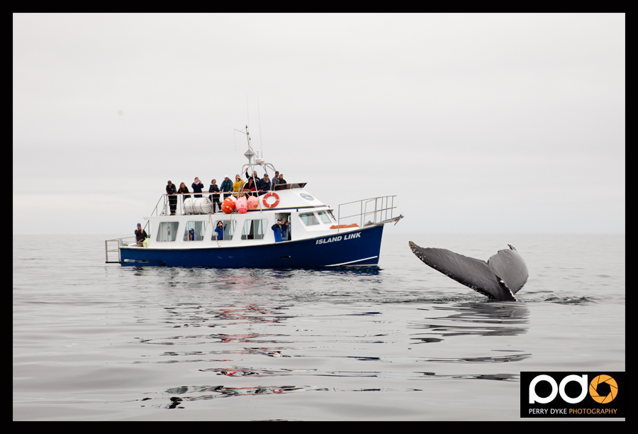 Perry Dyke Photography: Brier Island