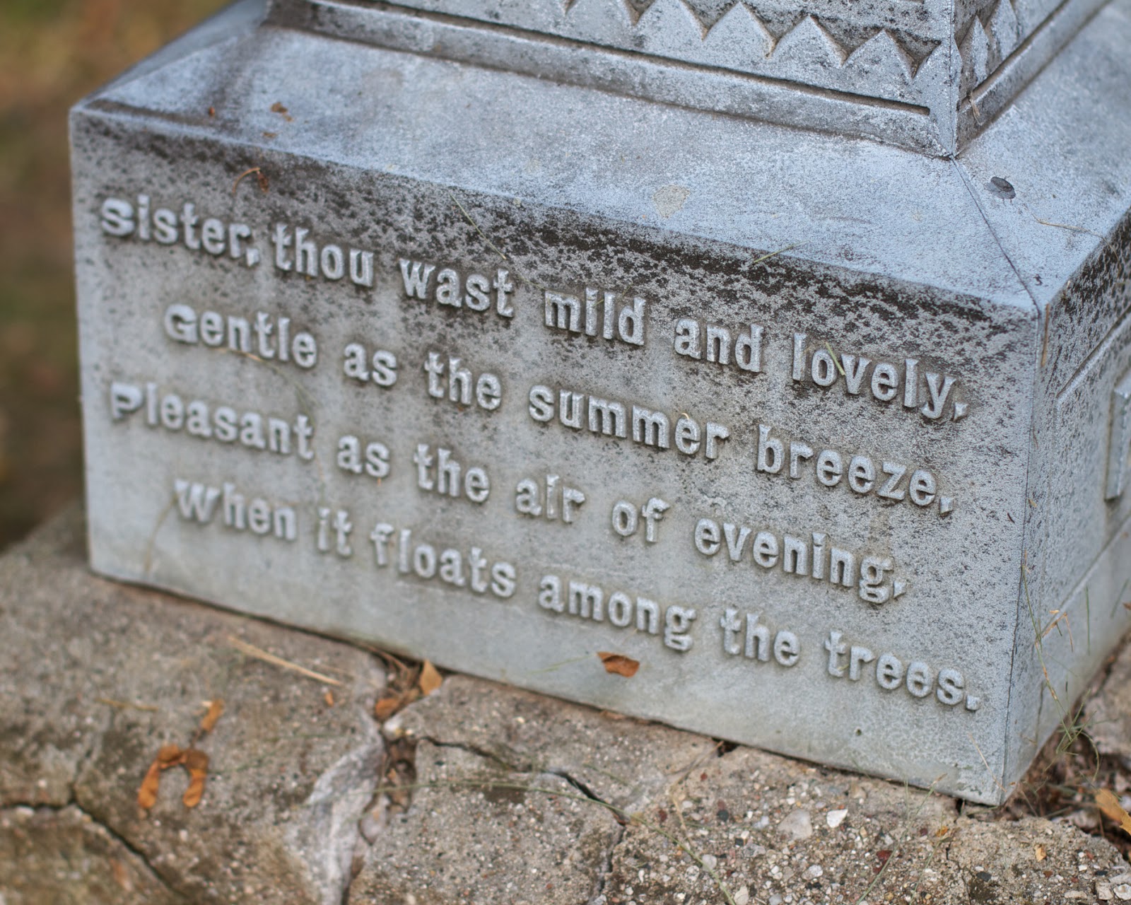 Historical Society of Greater Lansing - Gunnisonville Cemetery Walking Tour