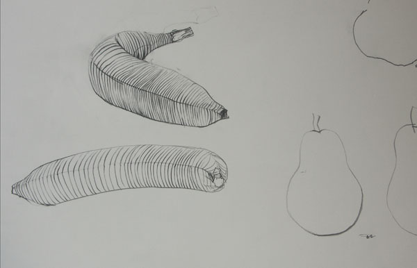 Basic Drawing 1: Bananas & Pears