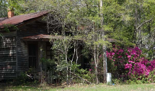 Reflections From the Fence: Rural Georgia in the Springtime, It's All ...