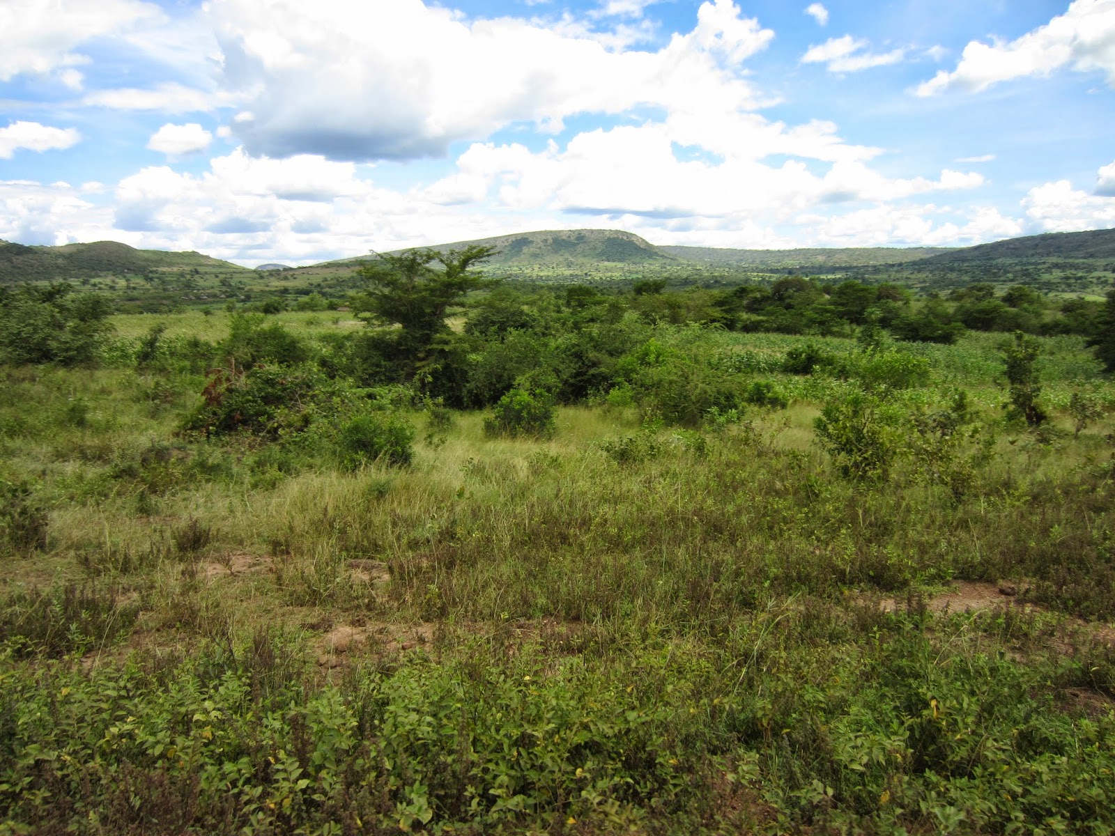 Souvenir Chronicles: AFRICA: CROSSING THE BORDER INTO TANZANIA