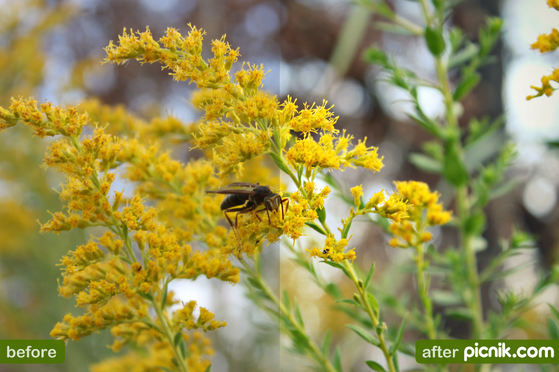 Live. Love. Craft.: Tutorial - Basic Editing Using Picnik