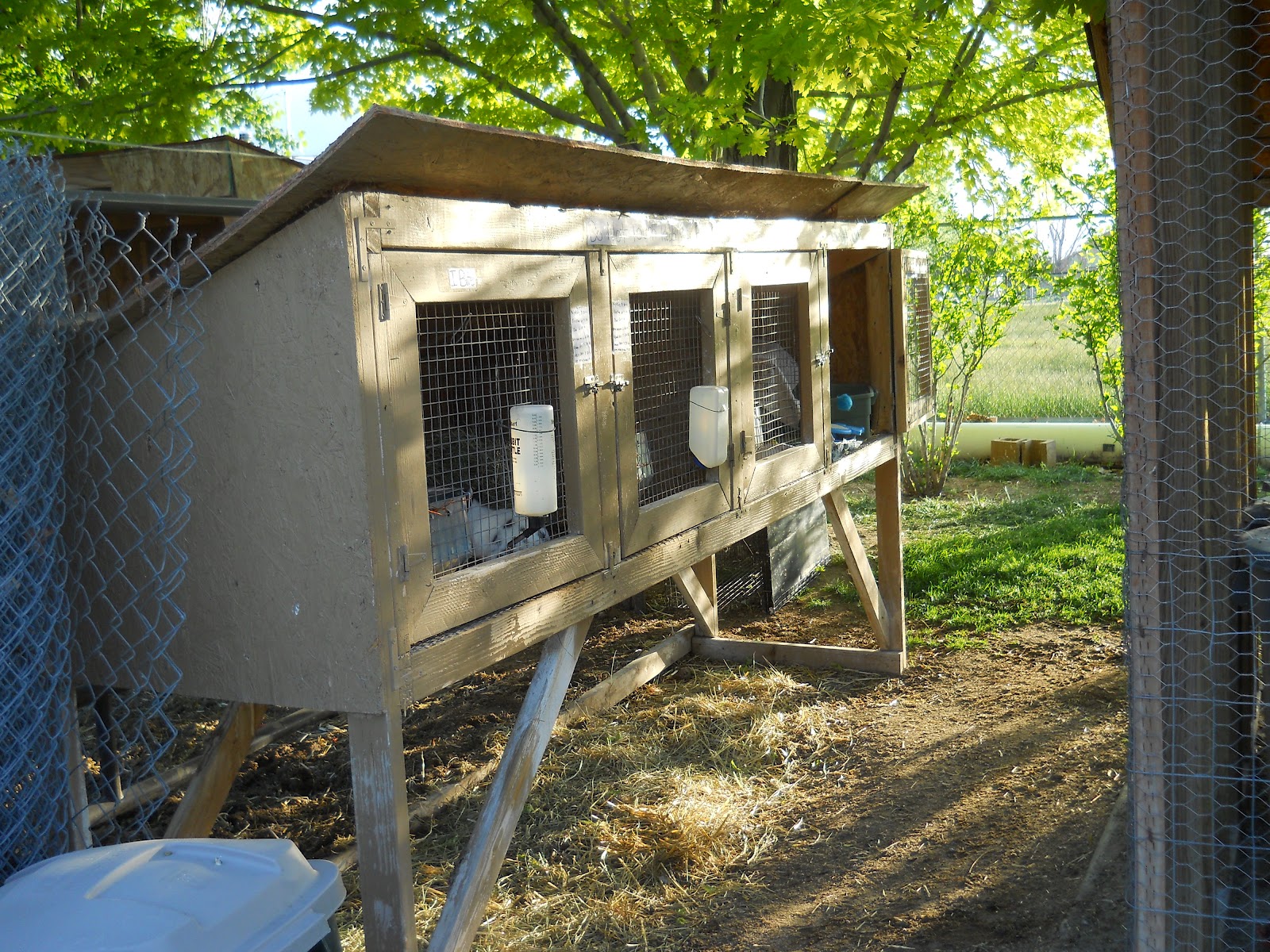 Little Rascal's Rabbitry: Possible New Barn