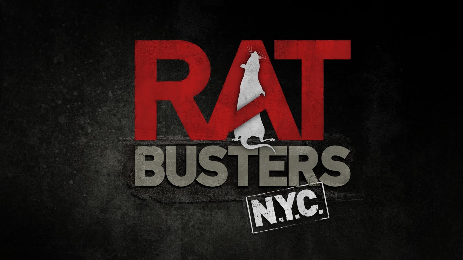Magic Exterminating: Rat Busters NYC on Animal Planet featuring Magic ...