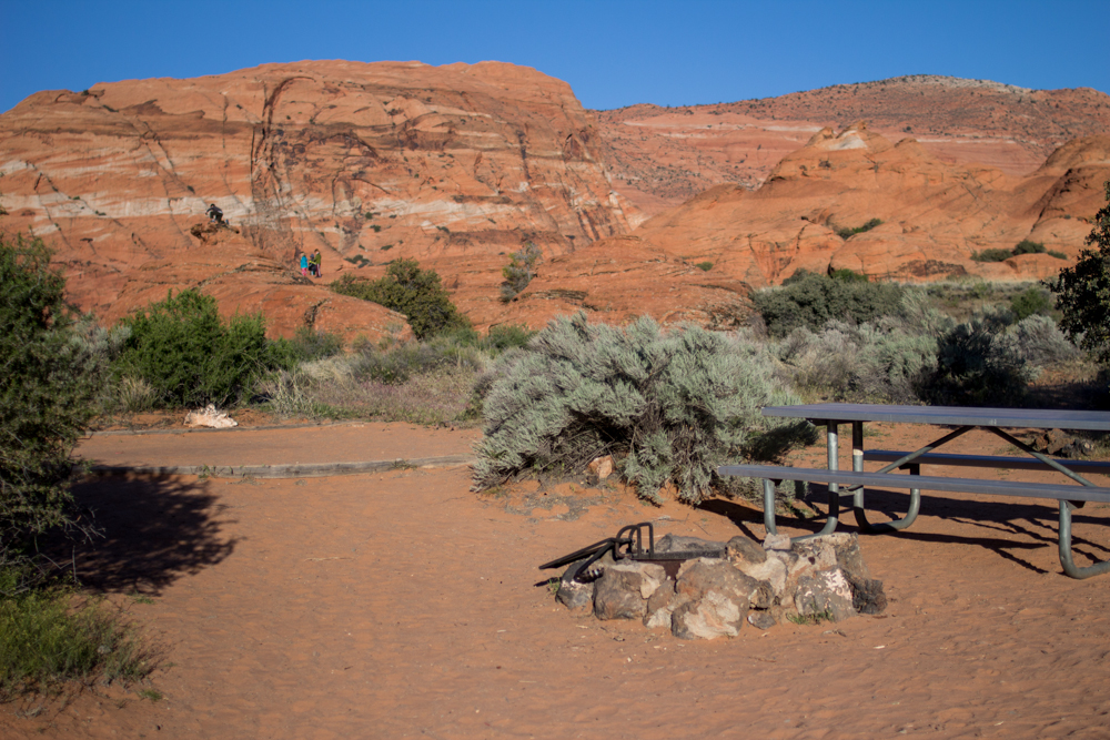 Snow Canyon State Park | St George, Utah